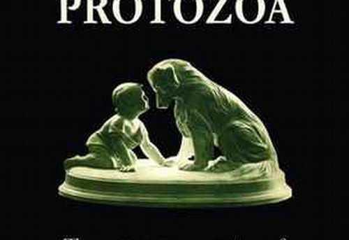 Protozoa – Ты Не Можешь Говорить Лейбл:Kapkan CD