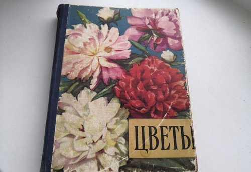 Юхимчук Цветы, 1959 год