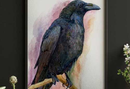 Картина черный ворон акварелью 20x30 см
