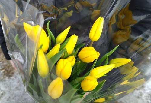 Тюльпаны опт жёлтый цвет