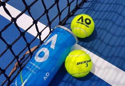 Теннисные мячи Dunlop ao 4B