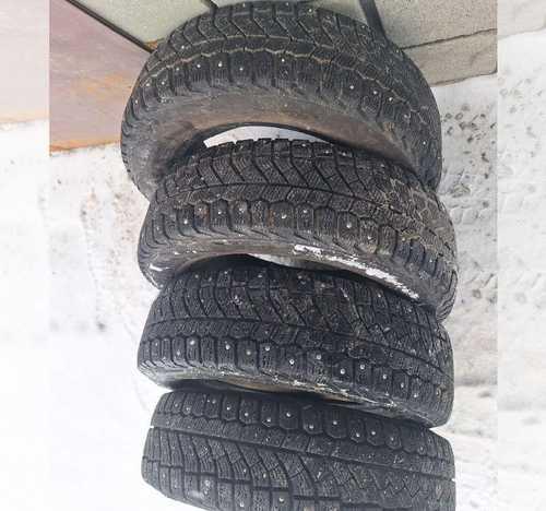 Viatti Bosco Nordico V-523 175/65 R14