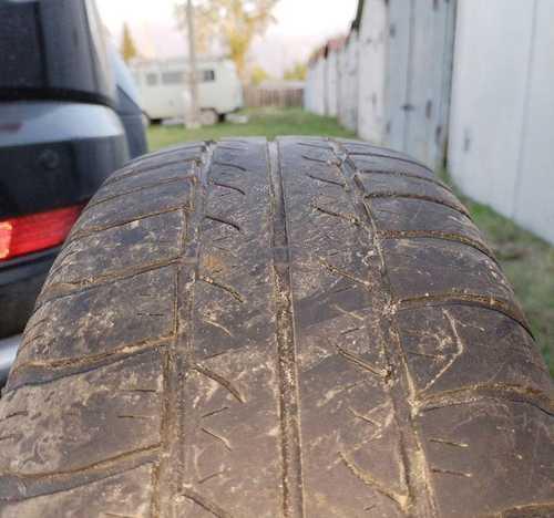 Cordiant Standart 175/65 R14