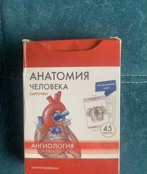 Карточки по анатомии