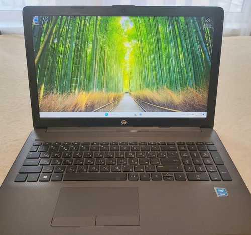 Ноутбук HP 250 G7 Silver N5030 / 8 RAM