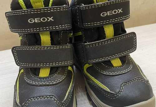 Ботинки демисезонные geox