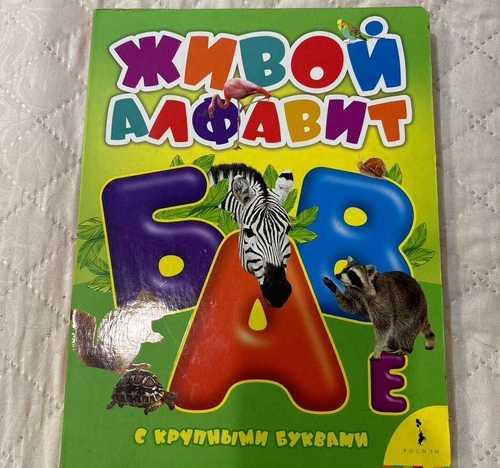 Азбука алфавит буквы для детей книга