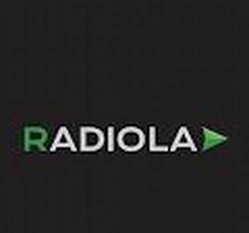 Мониторы андроид магнитолы android radiola/Радиола