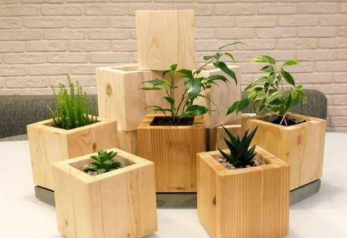 Стильные кашпо ящики кадки для комнатных растений