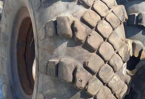 Ураган ВИ-202 20.5/530 R25 50D