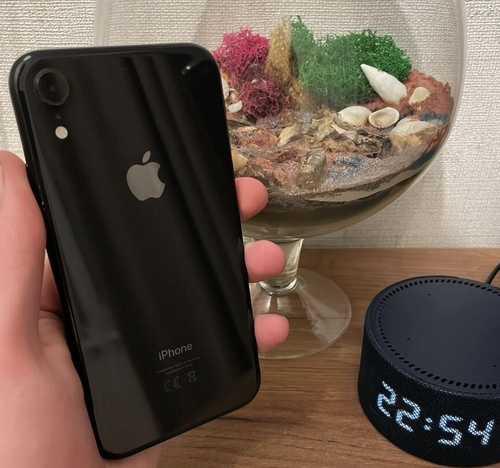 iPhone Xr, 128 ГБ