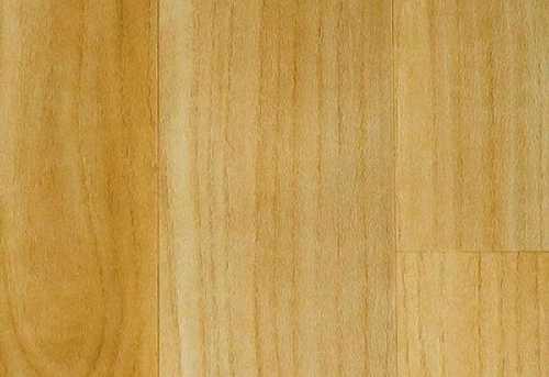 Sportline Classic Wood FR 07601 - 6.0