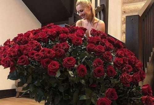 Розы Высокие Розы Гиганты Доставка Москва