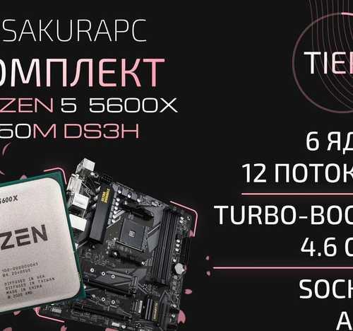 Комплект ryzen 5 5600X   B550M DS3H (T 1)