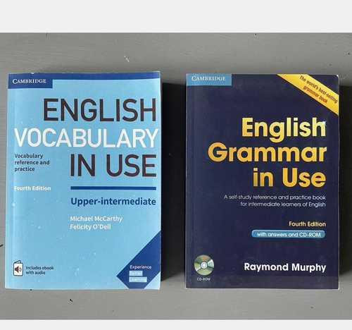 English vocabulary in use grammar in use