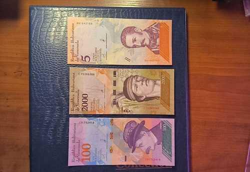 Красивые банкноты Венесуэлы