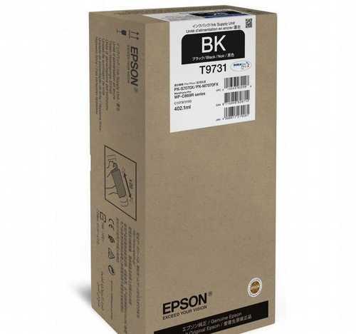 Картридж для струйного принтера Epson C13T973100