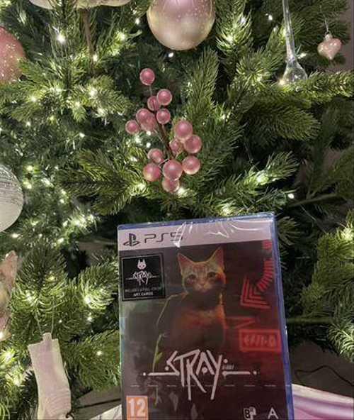 Stray PS5, новая