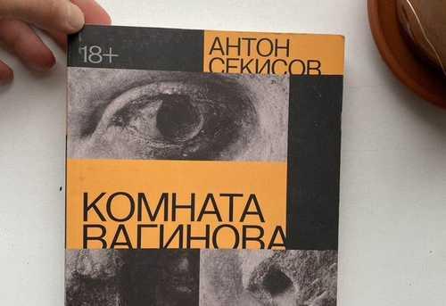 Книга Антона Секисова "Комната Вагинова"