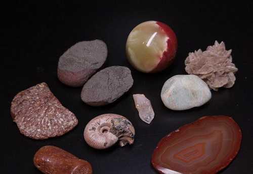 Коллекция камней и окаменелостей