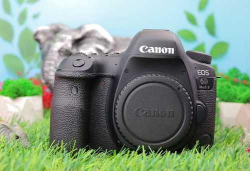 Canon EOS 6D Mark II Body ID302
