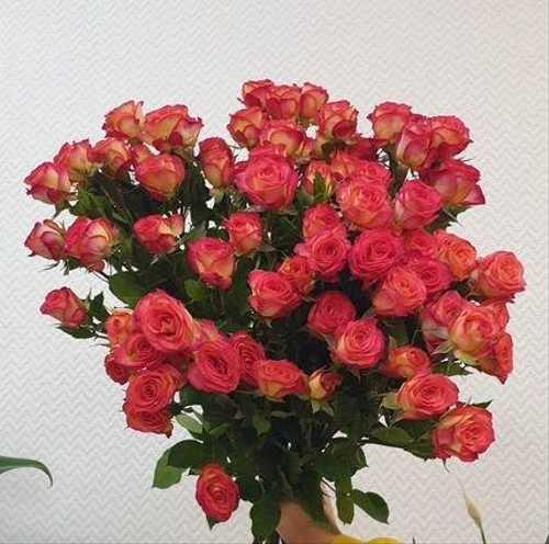 Цветы:Роза кустовая