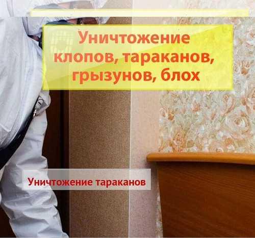 Уничтожение клопов тараканов