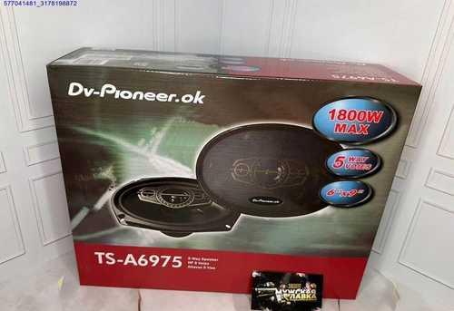 Автоколонки Pioneer TS-A6975 1800W 24x16см