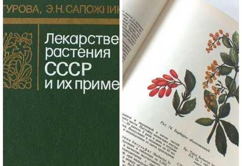 Книга Лекарственные растения Ламинированная бумага