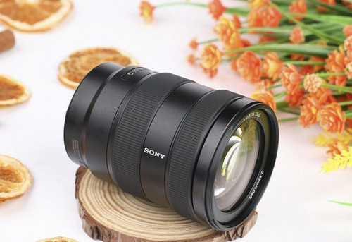 Sony E 16-55 mm f/2.8 G
