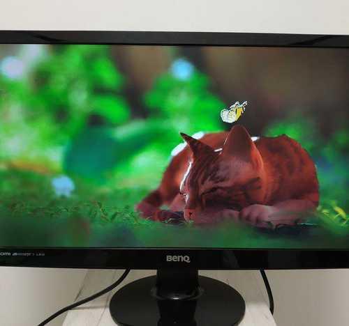 Монитор Benq GL2440HM