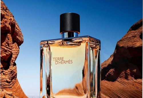 Hermes Terre d'Hermes Eau De Toilette 100 мл