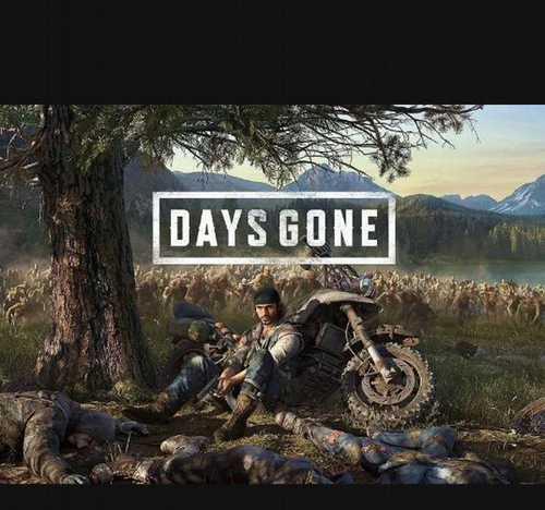 Days gone Ps4/Ps5