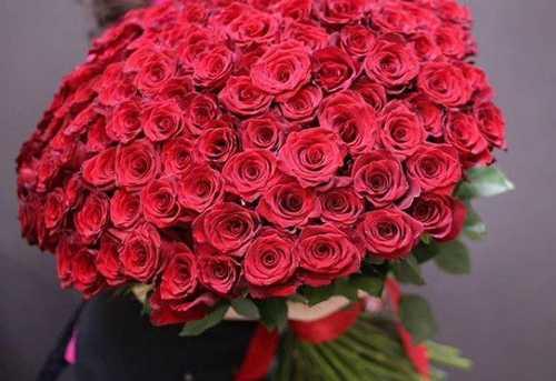 101 роза Новосибирск доставка цветы №47