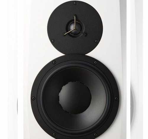 Студийный монитор Dynaudio LYD 8 B/W