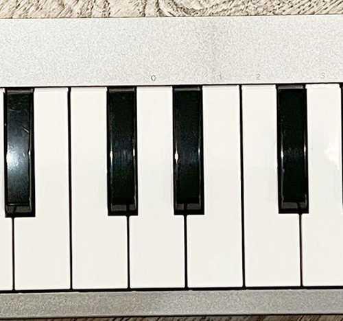 M audio keystation mini 32