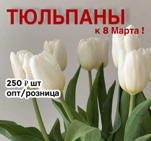 Тюльпаны к 8 марта опт розница