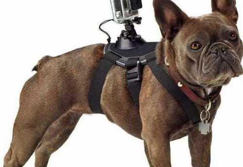 Крепление-упряжка для собак Fetch Dog Harness