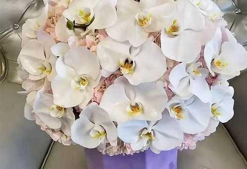 Букет из орхидей