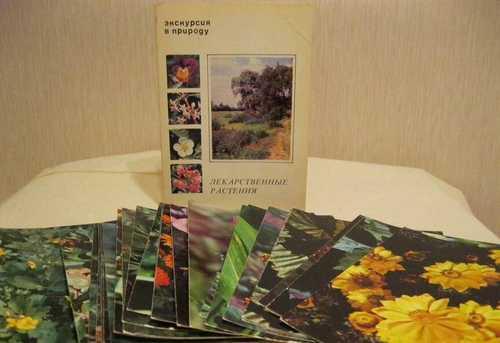 Набор открыток Лекарственные растения СССР