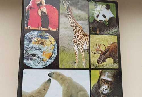 Детский журнал про животных