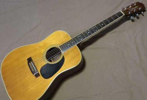 Takamine PT-06E 1979г