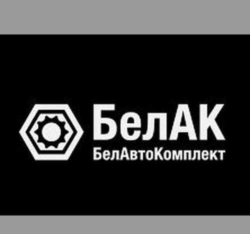 БЕЛАВТОКОМПЛЕКТ бак.07005 Набор инструмента