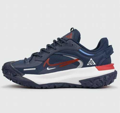 Кроссовки Nike ACG Mountain Fly 2 Low Gtx Blue