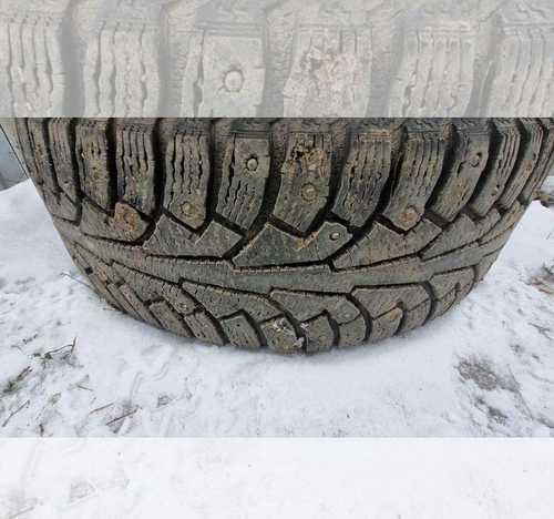 Nordman 5 205/55 R16