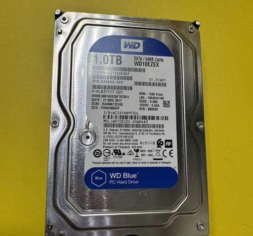 HDD WD Blue 1TB wd10ezex western digital