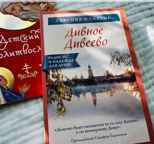 Дивное Дивеево книга