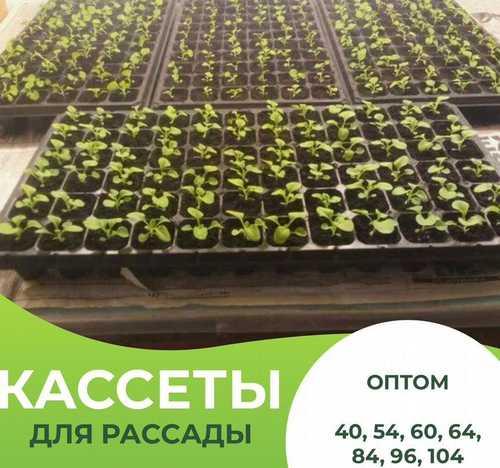 Кассеты для рассады /Оптом