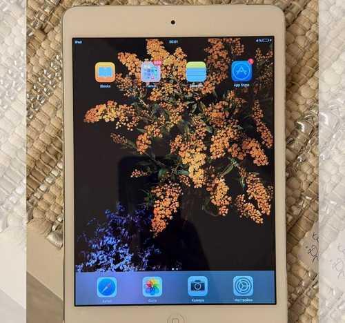 iPad mini 2