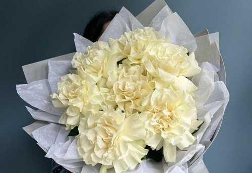 Белые розы эквдор